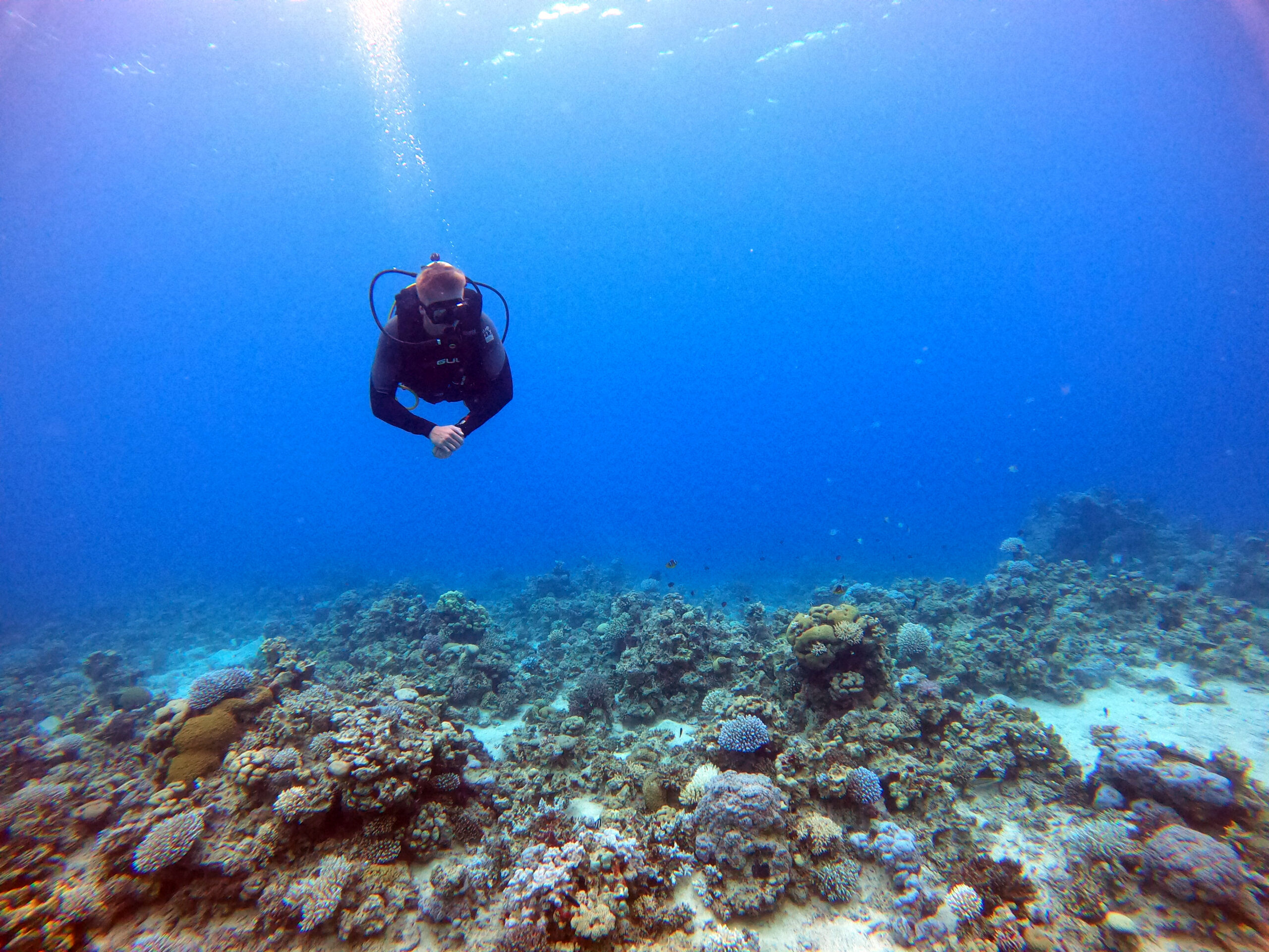 Waves Diving Center – Live the Experience Not Just Watch It!